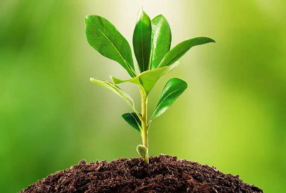 Agri-Input Solutions by FIL Industries Private Limited: Crop Protection ...